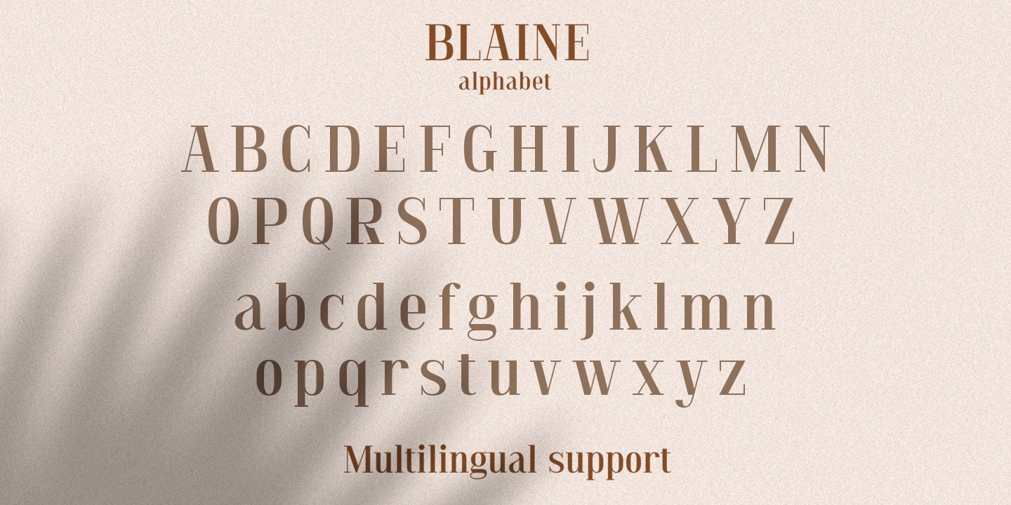 Blaine: скачать шрифт и установить для веб-сайта и фотошопа бесплатно.